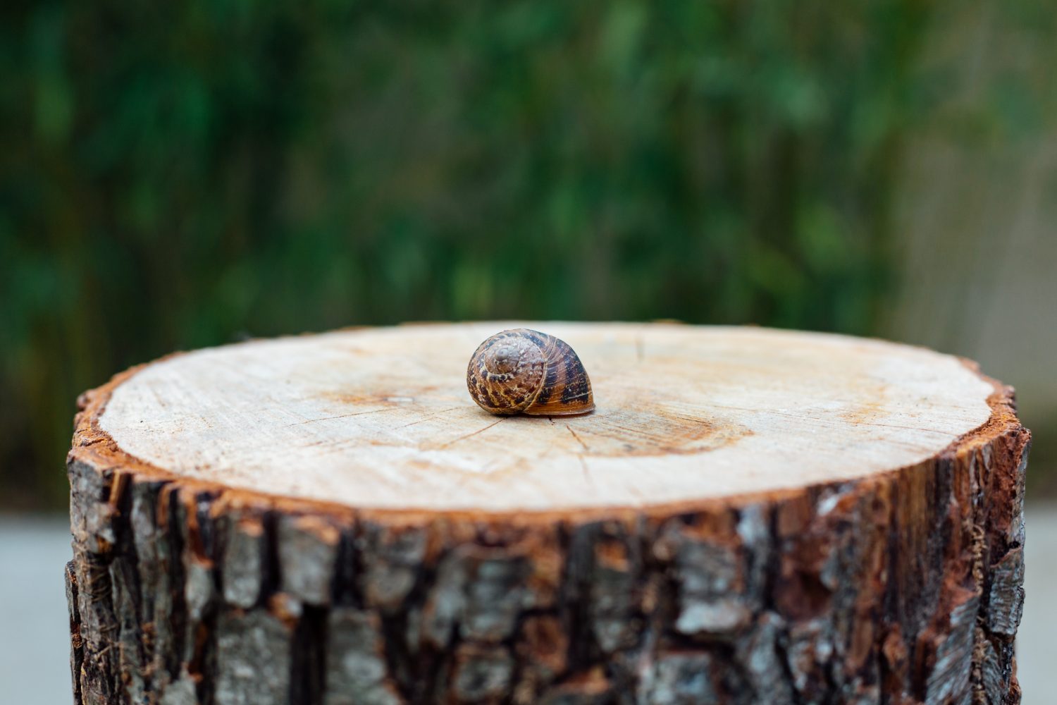 Defi photo 52 | Stéphanie Lapierre Photographe Lifestyle